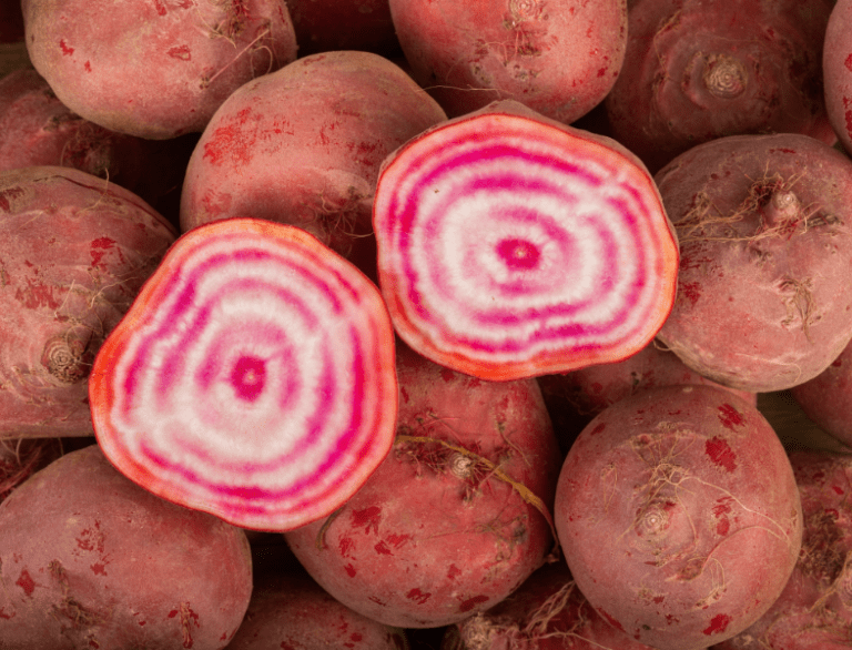 La betterave chioggia, tout ce qu'il faut savoir - Mon Marché