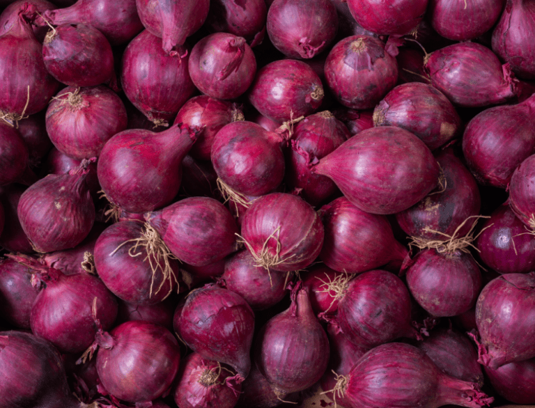 L'oignon rouge, tout ce qu'il faut savoir - Mon Marché