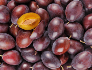 La quetsche, tout ce qu'il faut savoir - Mon Marché