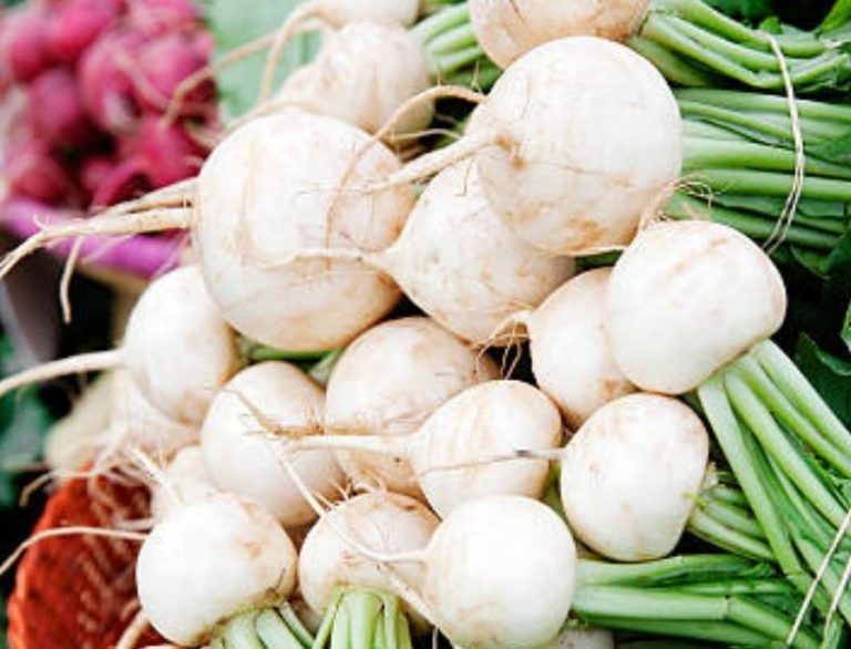 La betterave blanche, tout ce qu'il faut savoir - Mon Marché