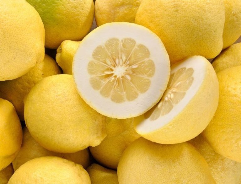 Le cédrat, tout ce qu'il faut savoir - Mon Marché