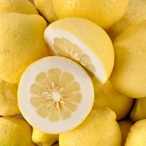 Le cédrat, tout ce qu'il faut savoir - Mon Marché