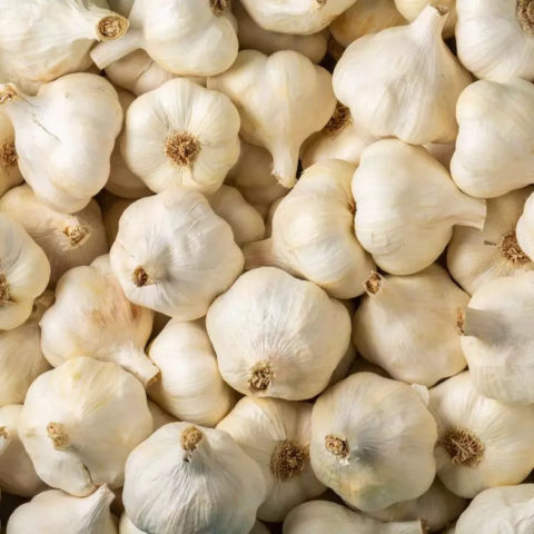 L'ail violet, tout ce qu'il faut savoir - Mon Marché