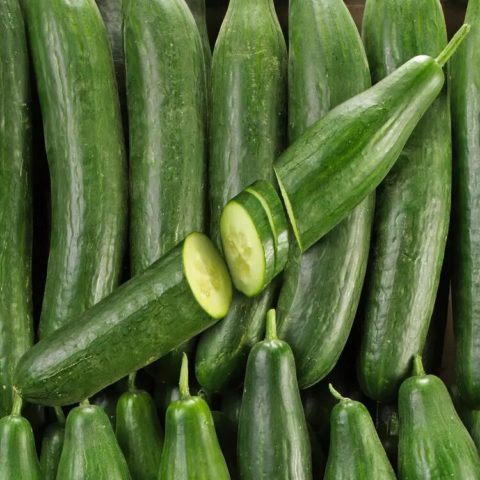 Le concombre Noa, tout ce qu'il faut savoir - Mon Marché